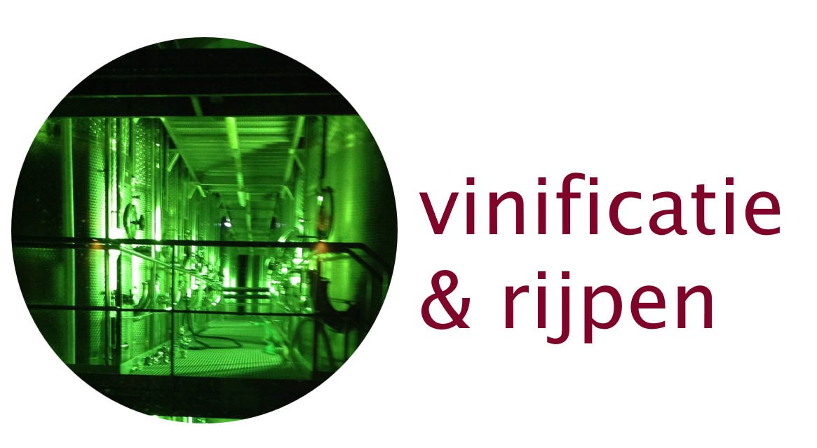 Wijn maken: Vinifcatie & rijpen | WijnInZicht